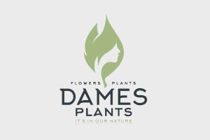 Dames Plants - Breda Business & Lifestyle